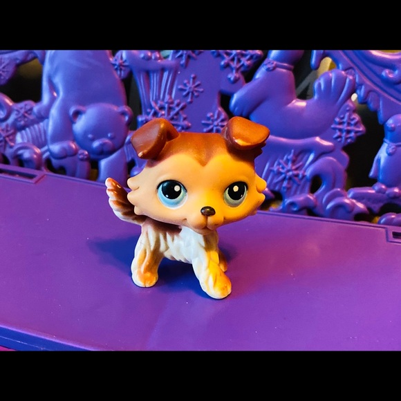 Littlest Pet Shop | Other | Lps Variant Collie 58 Paw Down | Poshmark